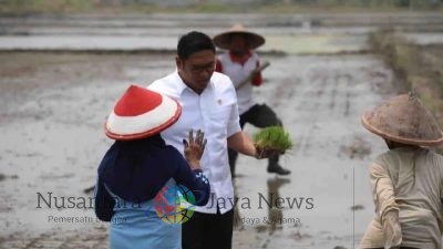 Wamentan: Program Cetak Sawah Baru untuk Perkuat Ketahanan Pangan - Nusantara Jaya News